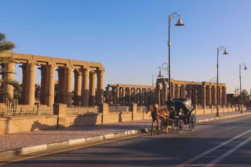 Tour della Città di Luxor in Carrozza a Cavallo
