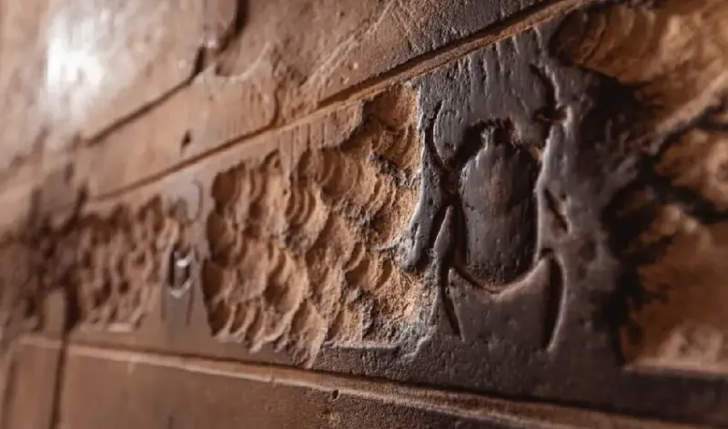 Ancient Egypt Scarab Beetle: Symbolism, Meaning & Facts