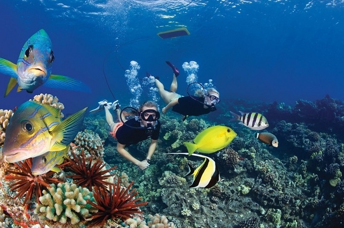 Ras Mohamed Snorkeling | Snorkeling Trip | Sharm El Sheikh Snorkeling