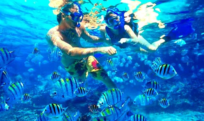 Aqaba Snorkeling Tours | Aqaba Snorkeling | Aqaba Jordan Snorkeling