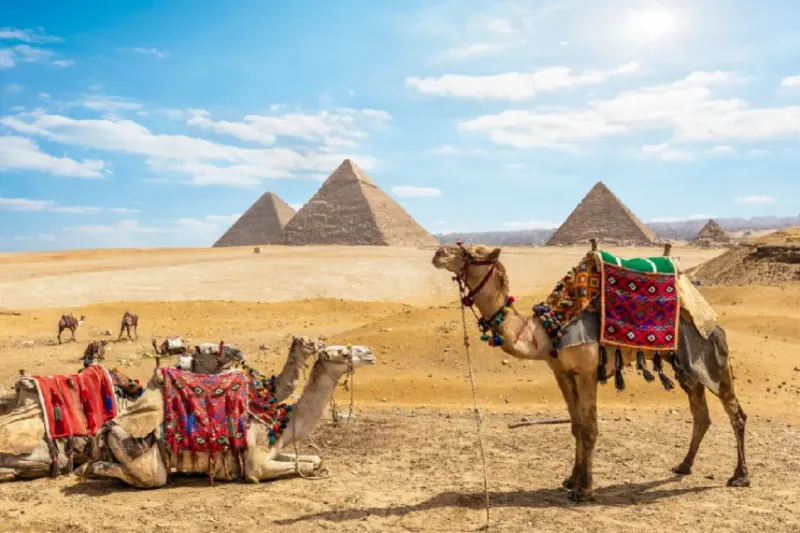 Piramide di Chefren: Storia e Guida alla Visita 2026