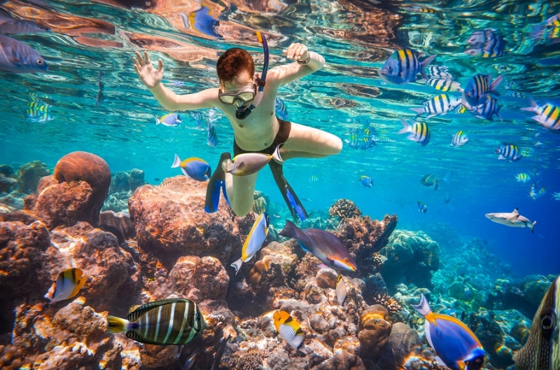 Ras Mohamed Snorkeling | Snorkeling Trip | Sharm El Sheikh Snorkeling