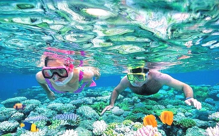 Aqaba Snorkeling Tours | Aqaba Snorkeling | Aqaba Jordan Snorkeling